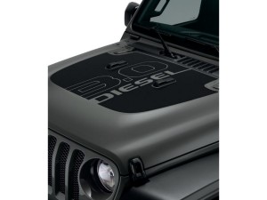 Search results for: 'Hood' | Mopar Online Parts