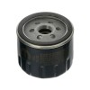 Mopar Oil Filter - 1.3L Turbo - 68439517AA | Mopar Online Parts